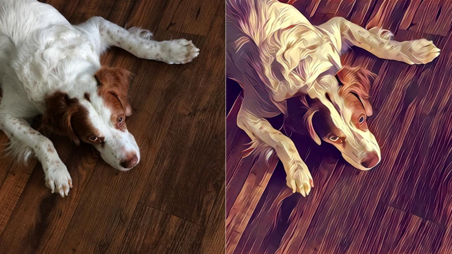 Mobile : Prisma, l'appli star de l'été bientôt rachetée par Facebook